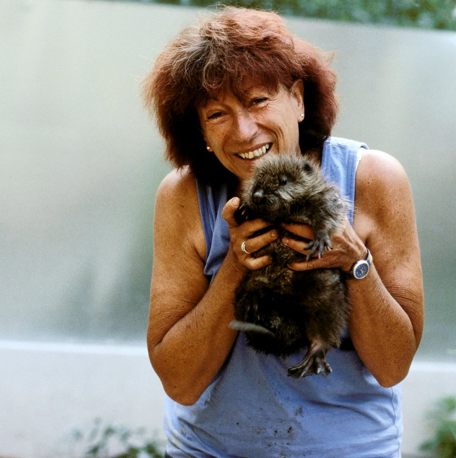 Universum: Hulik und die Biber (2002) | ČSFD.cz