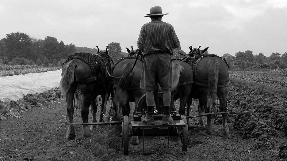 Workhorse (2020) | ČSFD.cz