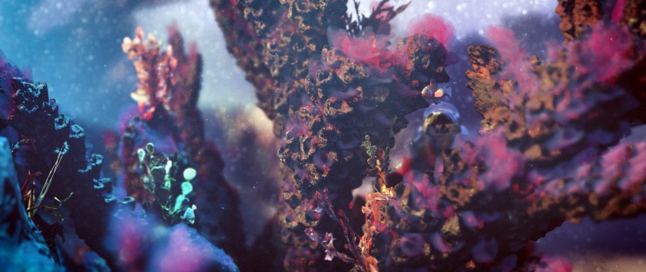 Ocean Fight Night (2020) | ČSFD.cz