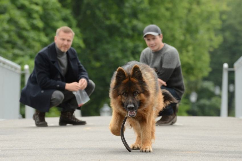 Komisarz Alex - W amoku (S15E05) (2020) | ČSFD.cz