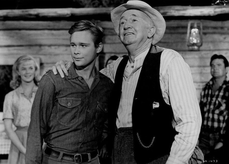 Those Calloways (1965) | ČSFD.cz