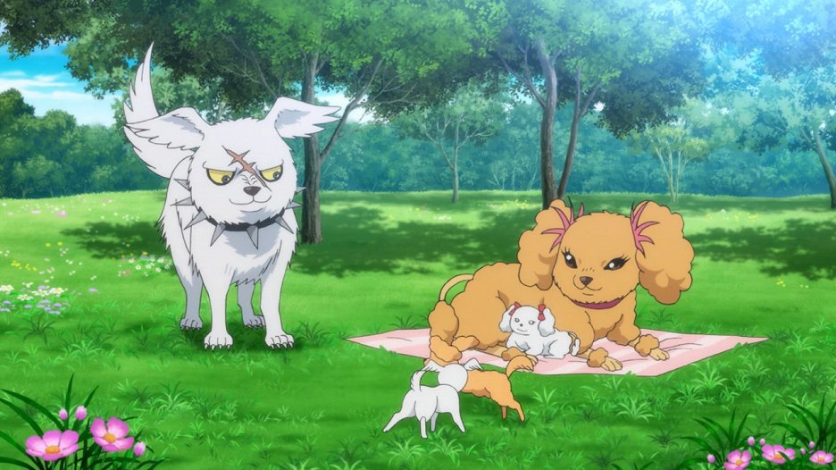 Hózuki no reitecu - Dacueba to ken'eó/Orjóri Miki-čan (S03E11) (2018 ...