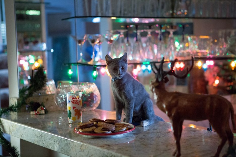 Santa Claus (2014) | ČSFD.sk