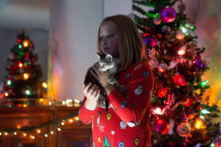Santa Claus (2014) | ČSFD.sk