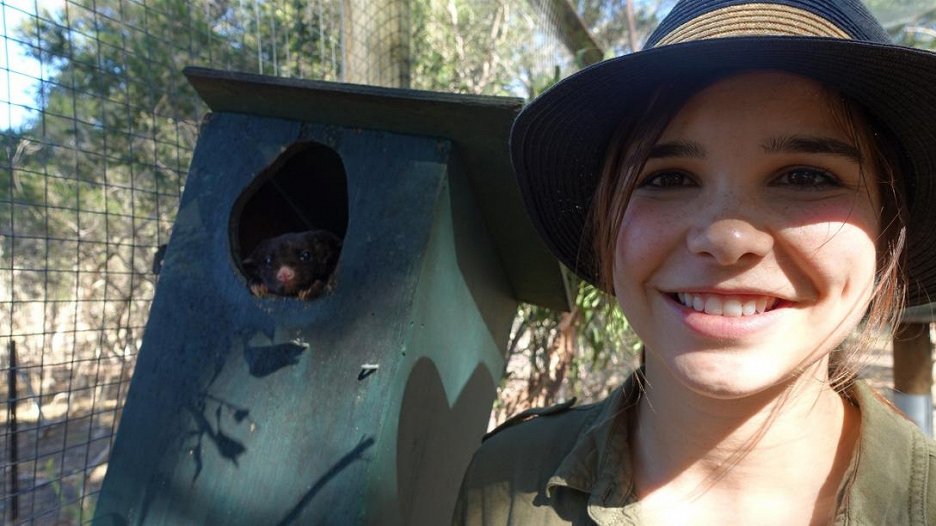 Anna und die wilden Tiere - Sammy, der coole Gleitbeutler (E70) (2019 ...