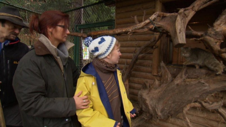 Paula und die wilden Tiere - Wo ist die Wildkatze? (E08) (2012 ...