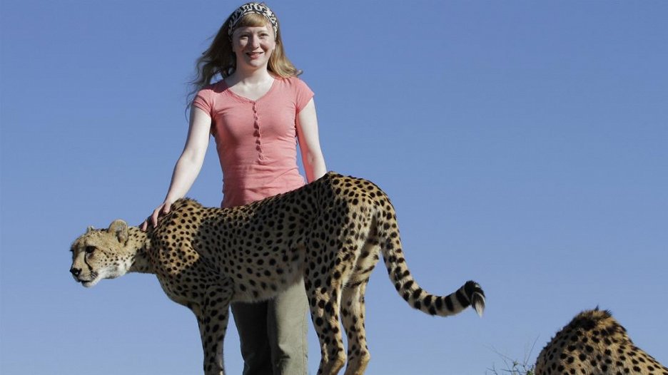 Paula und die wilden Tiere - Wie schnell rennt der Gepard? (E03) (2012 ...