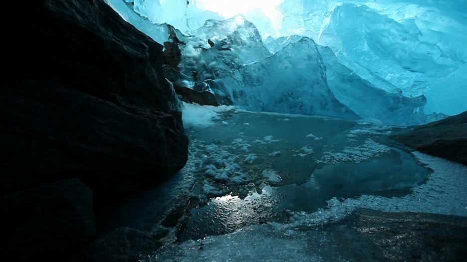 Do divočiny: Arktida (2019) | ČSFD.cz