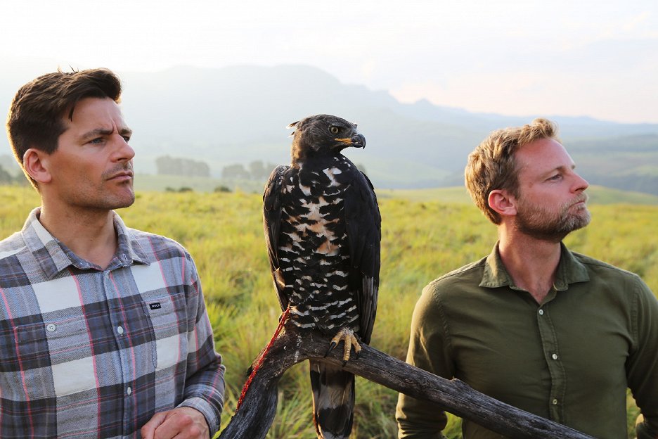 Animal Impossible (2020) | ČSFD.cz