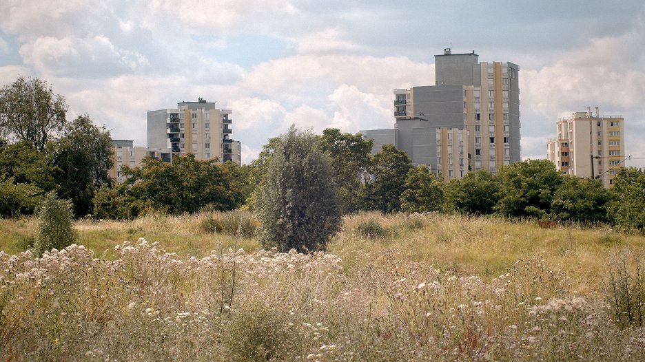 My (2021) | ČSFD.cz