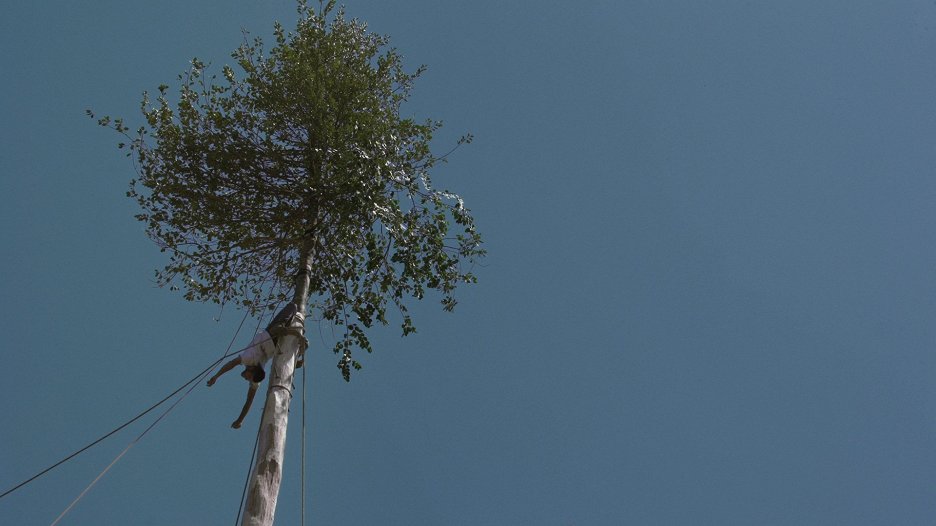 Autotrofia (2020) | ČSFD.cz