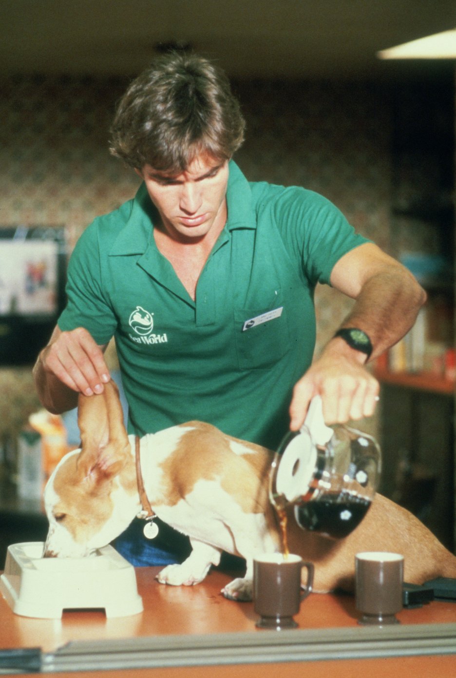 Čelisti 3 (1983) | Galerie - Fotosky | ČSFD.cz