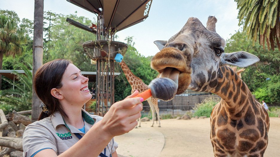 Megazoo (2020) | ČSFD.cz