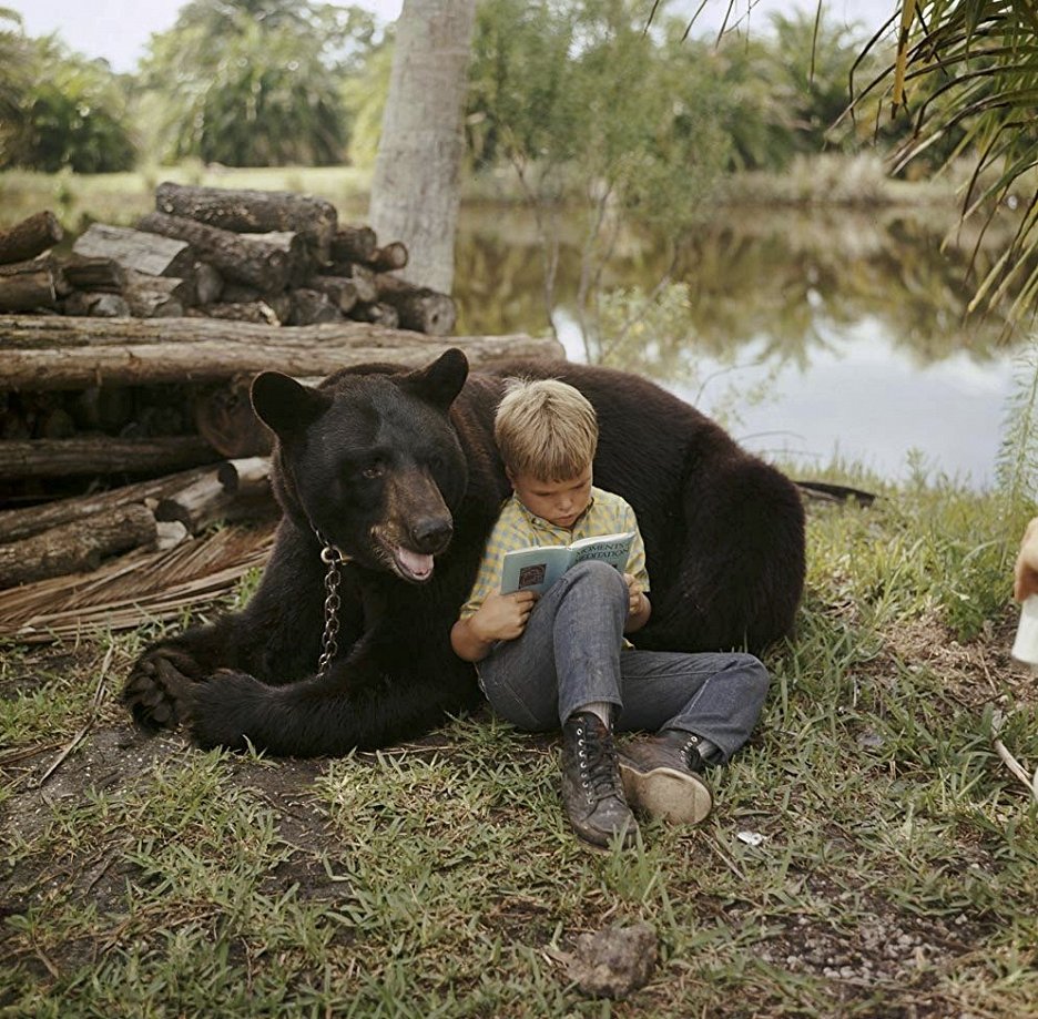 Gentle Giant (1967) | ČSFD.cz