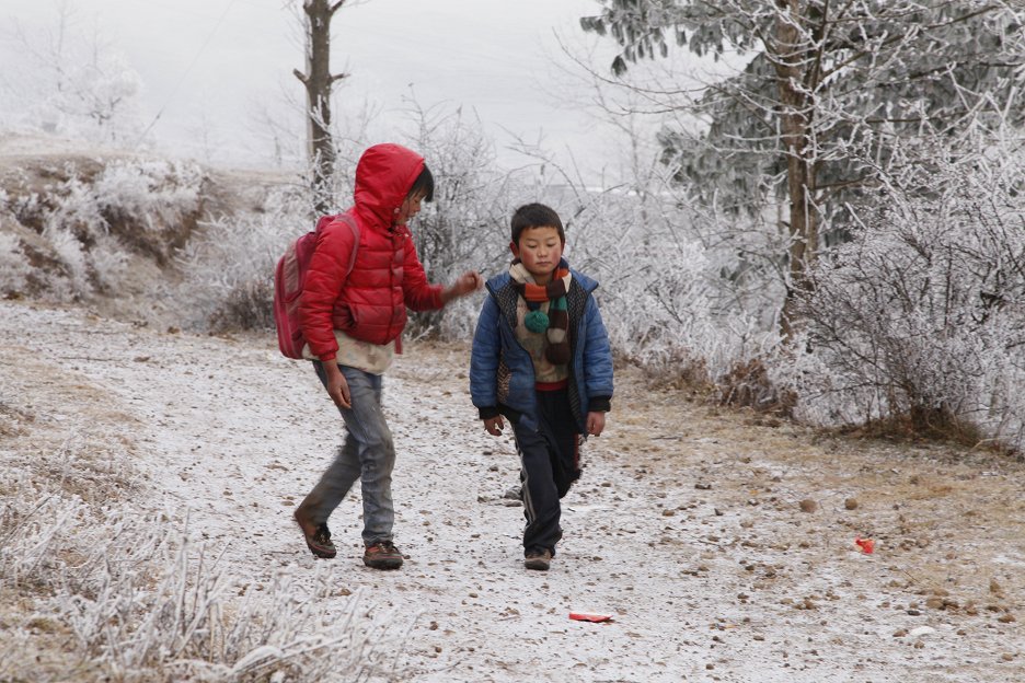 Han leng de gao shan you xi niu (2018) | ČSFD.cz