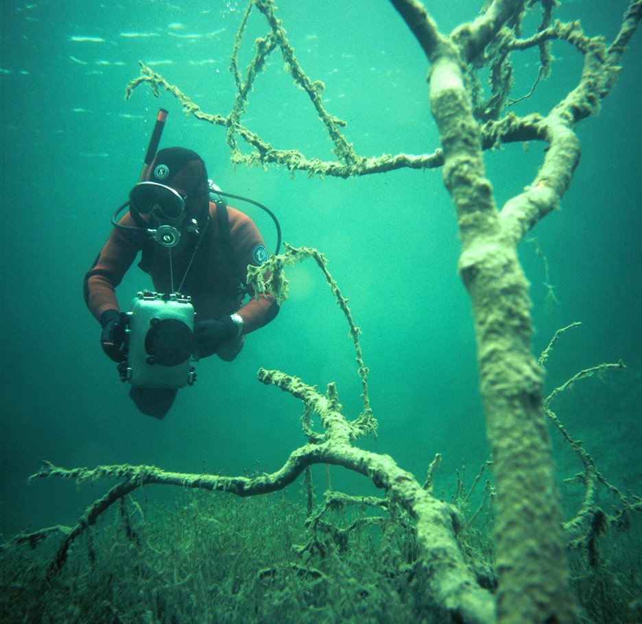 Der Wassermann - 50 Jahre Tauchen in Flüssen und Seen (2011) | ČSFD.cz