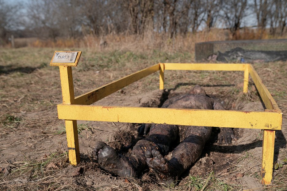 Coroner - Back to the Future (S03E05) (2021) | Creators | ČSFD.cz