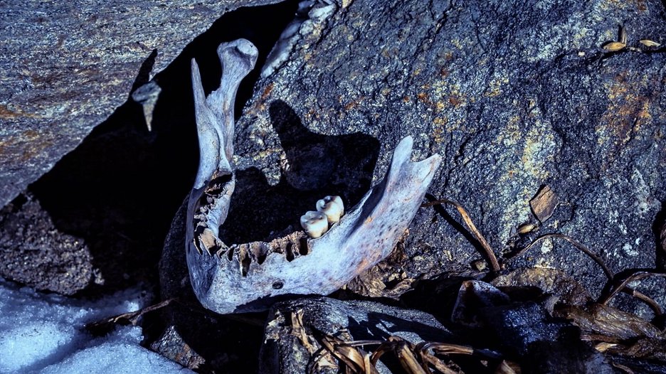 Tajemství v ledu (2020) | Tvůrci | ČSFD.cz