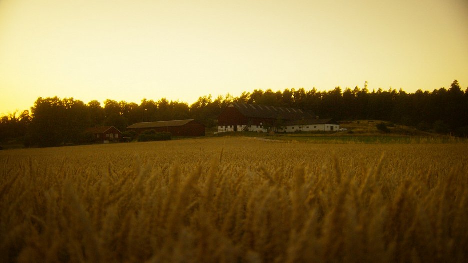 Partisan - Tinnitus (S01E02) (2020) | ČSFD.cz