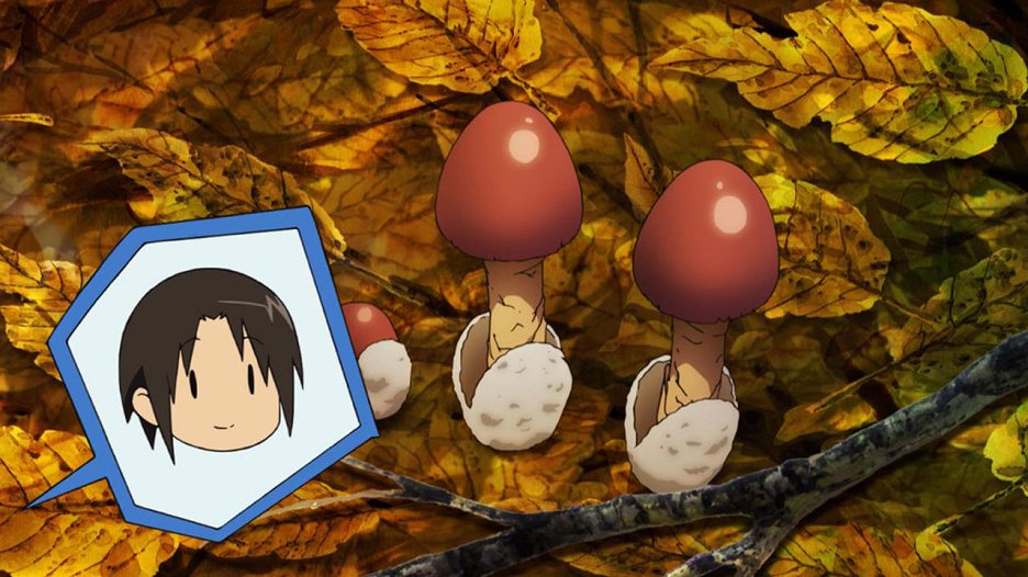 Seitokai Yakuindomo - Cuda kinoko wa sóteinai / Hane ga tobu / Kaboča ...