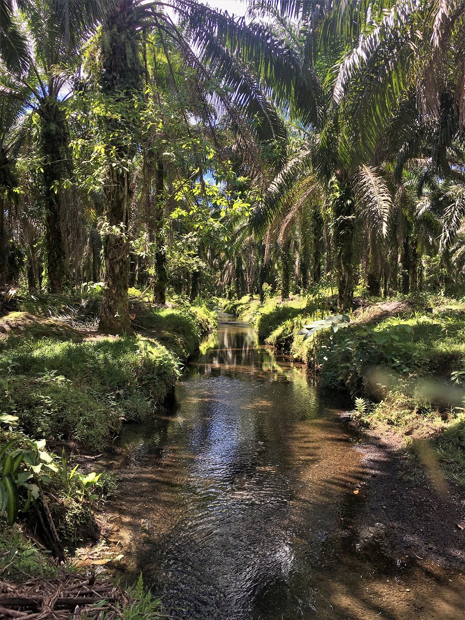Kostarika - bohatství tropického lesa (2020) | ČSFD.cz