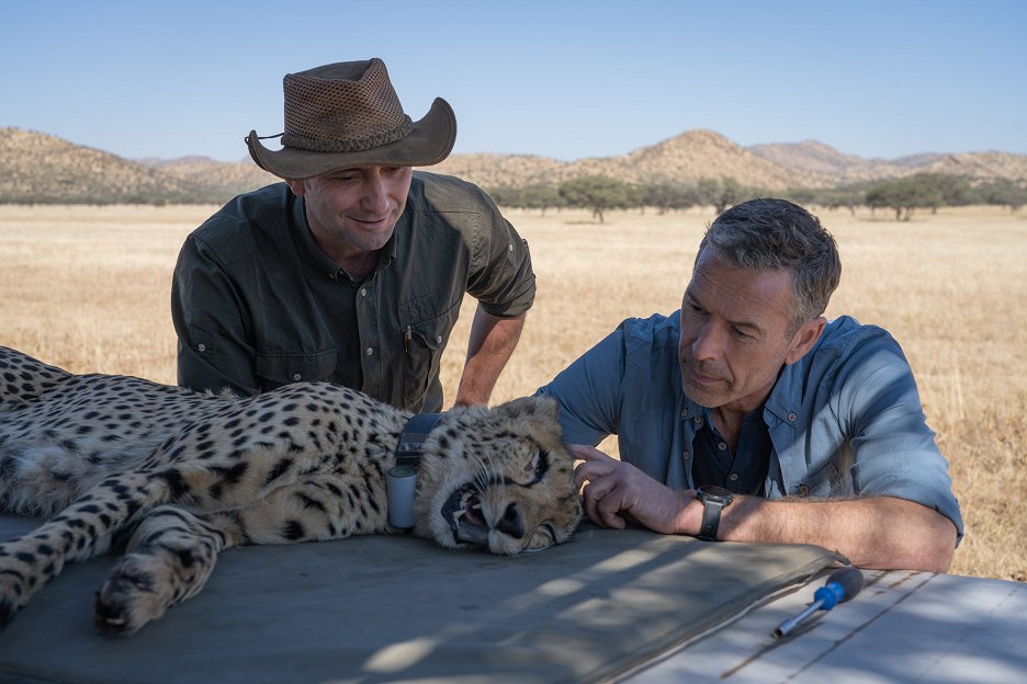 Terra X: Faszination Erde - mit Dirk Steffens: Überleben: Planet im ...