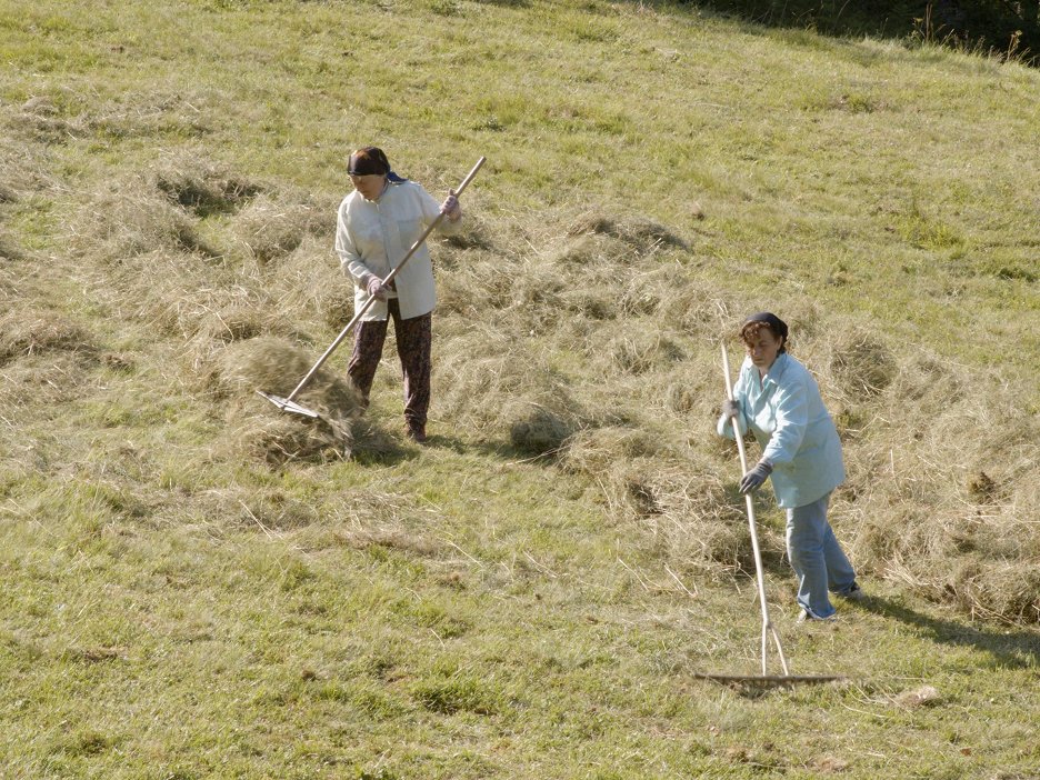 Manual de la siega (2021) | ČSFD.cz