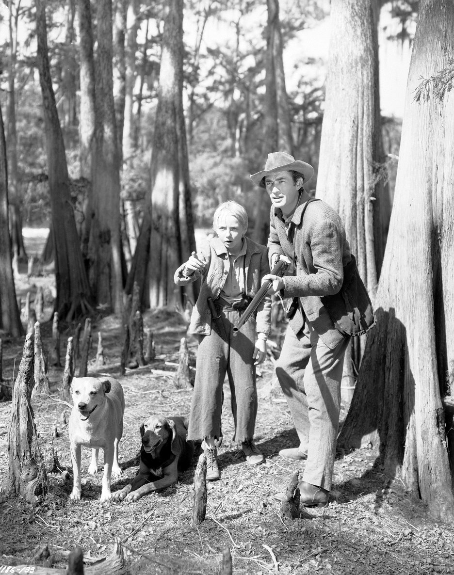 The Yearling (1946) | ČSFD.cz