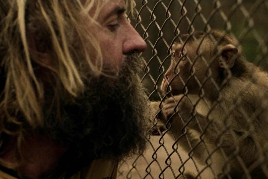 Sengatan (2017) | ČSFD.cz