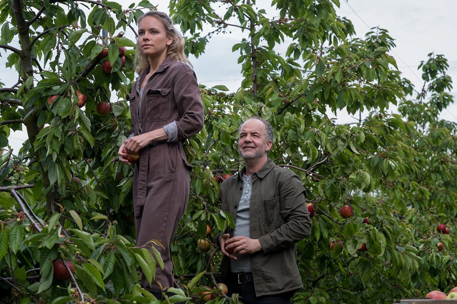 SOKO Hamburg - Erntezeit (S04E10) (2022) | ČSFD.cz