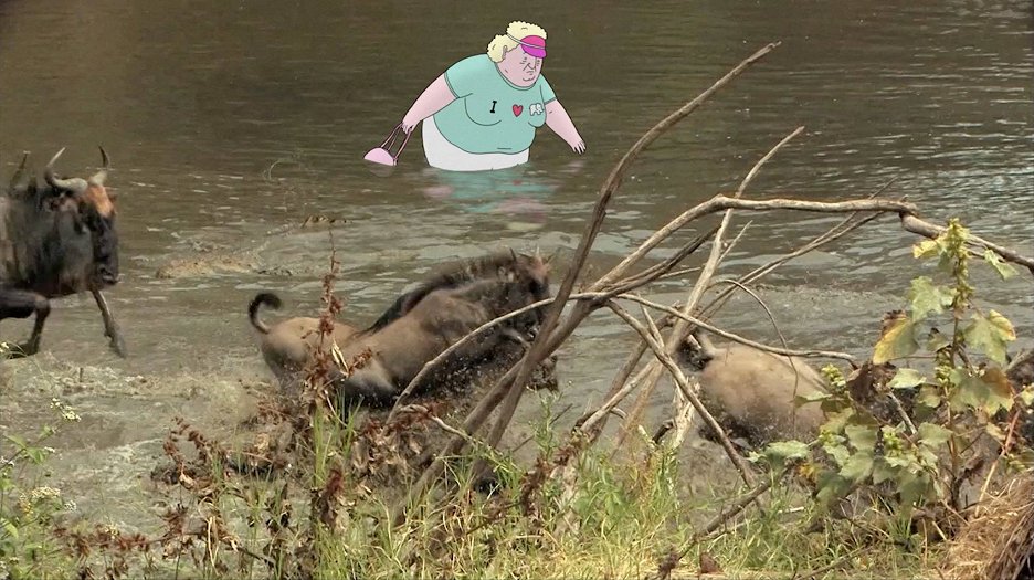 Wildebeest (2017) | ČSFD.cz