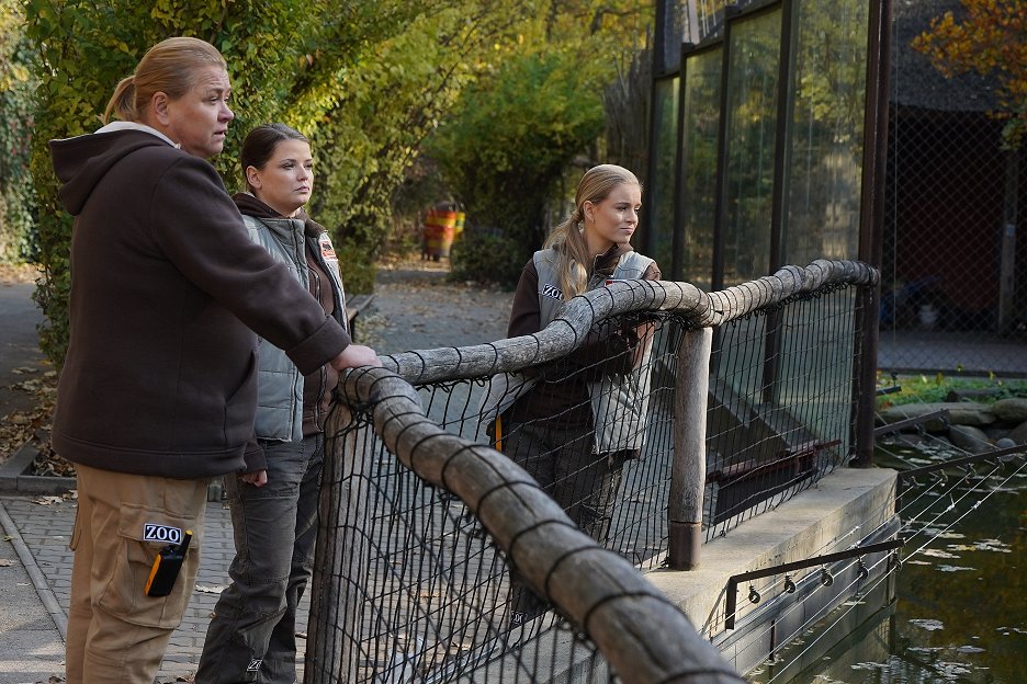 Zoo - City a investice (S01E14) (2022) | ČSFD.cz