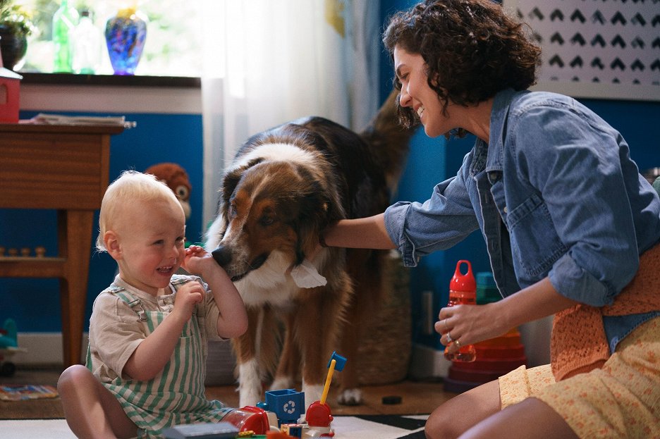 Ruby záchranářka (2022) | ČSFD.sk