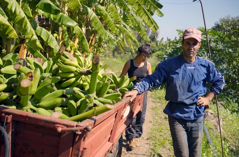 Köstliches Sizilien - Östliches Val Demone (E03) (2022) | ČSFD.cz