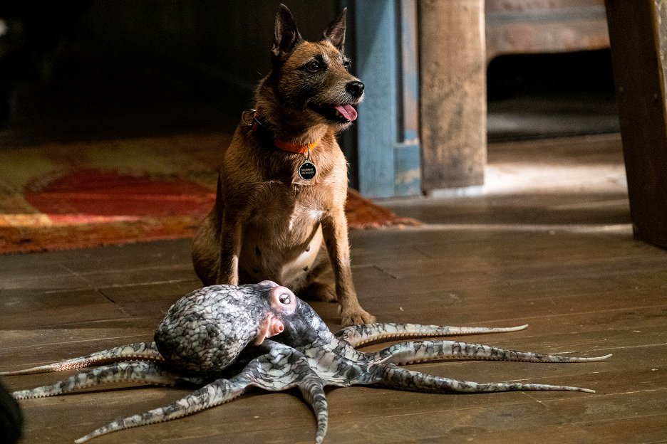 Resident Alien - An Alien in New York (S02E06) (2022) | ČSFD.cz