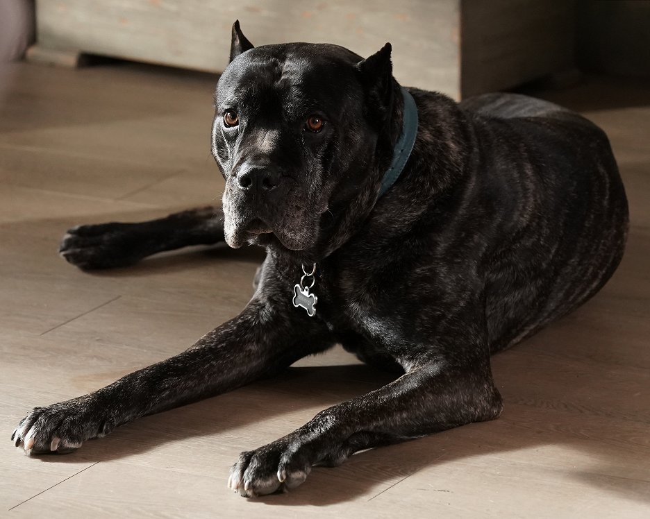 A Million Little Things - Out of Hiding (S04E19) (2022) | ČSFD.cz