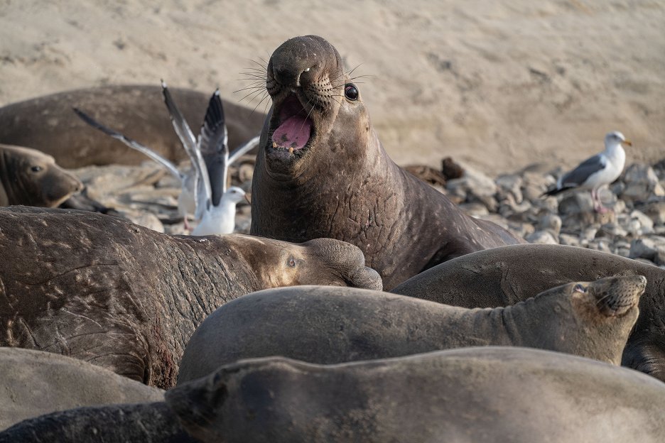 Our Great National Parks (2022) | ČSFD.cz