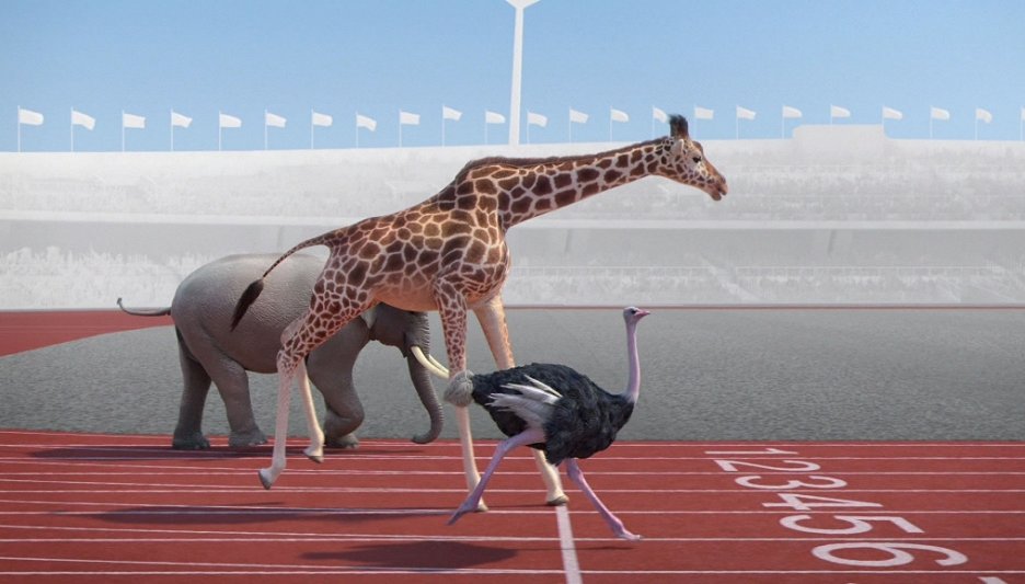 Sportující zvířata - 100 mètres d'athlétisme (S01E22) (2018) | ČSFD.cz