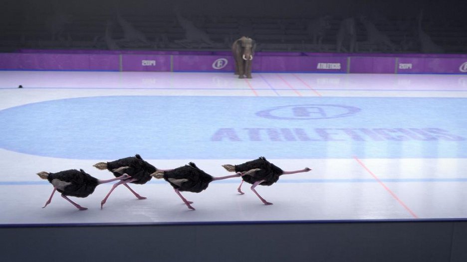 Sportující zvířata - Patinage de vitesse (S02E16) (2019) | Galerie - Z ...