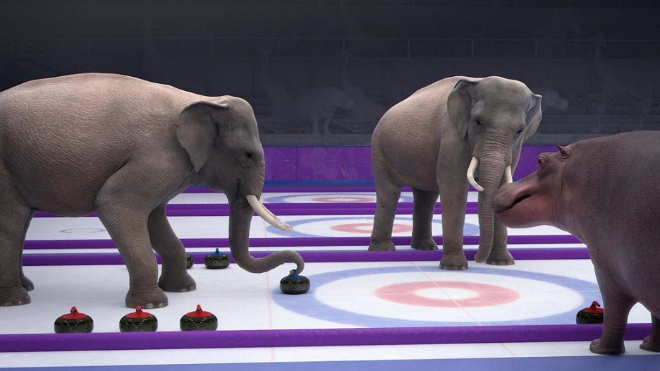 Sportující zvířata - Curling (S02E25) (2019) | ČSFD.cz