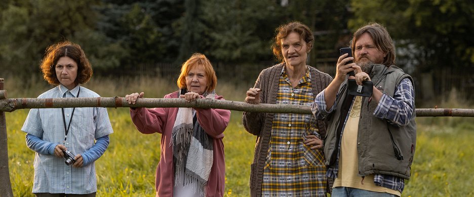 Buko (2022) | ČSFD.sk