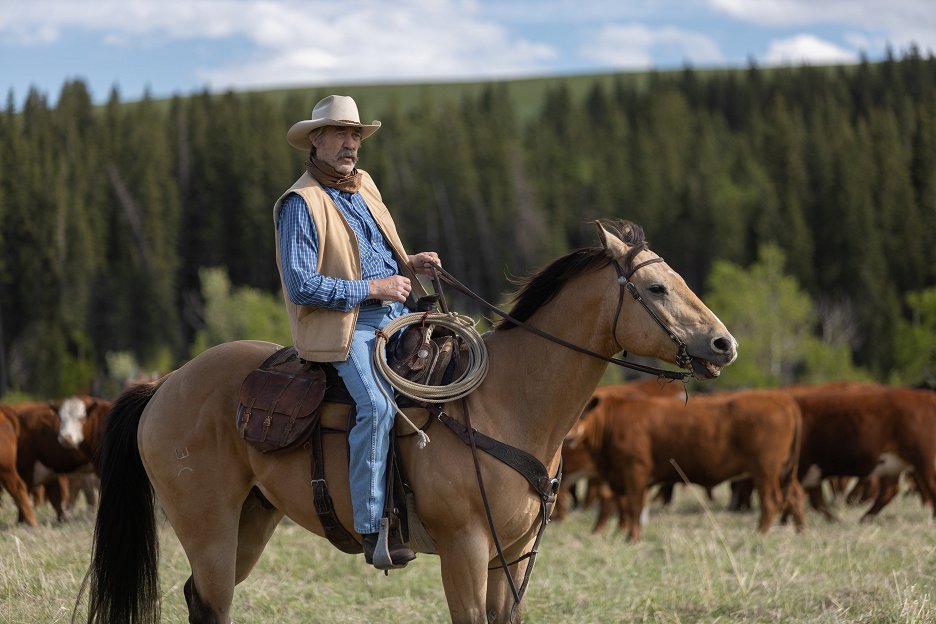 Ranč Heartland - Za světlem (S15E01) (2021) | ČSFD.cz