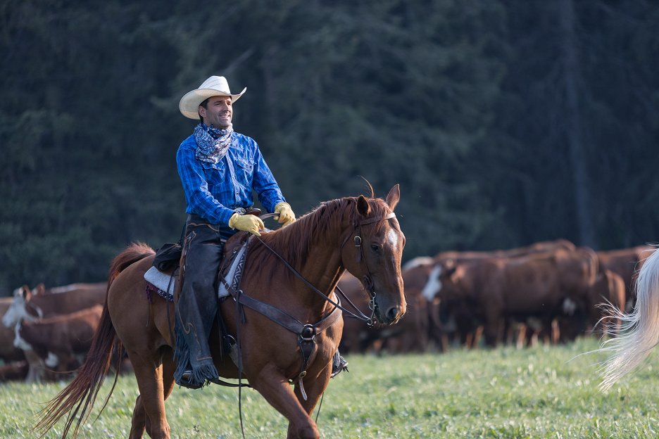 Ranč Heartland - Krev a voda (S15E05) (2021) | ČSFD.cz