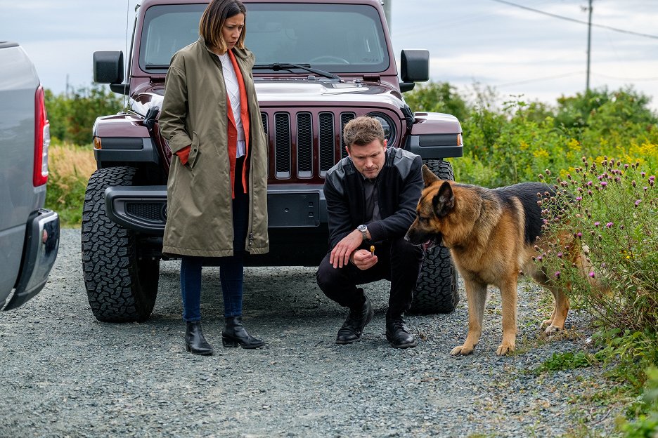 Hudson a Rex - Sudden Death (S04E08) (2021) | ČSFD.cz