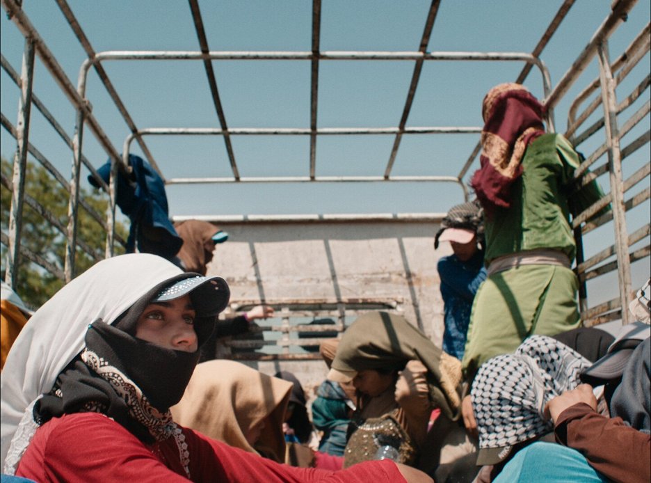 Fanfáry v oblacích (2021) | ČSFD.cz