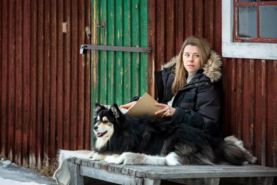 Åsa Larssons Rebecka Martinsson - Varningstriangeln: Del 2 (S02E08 ...