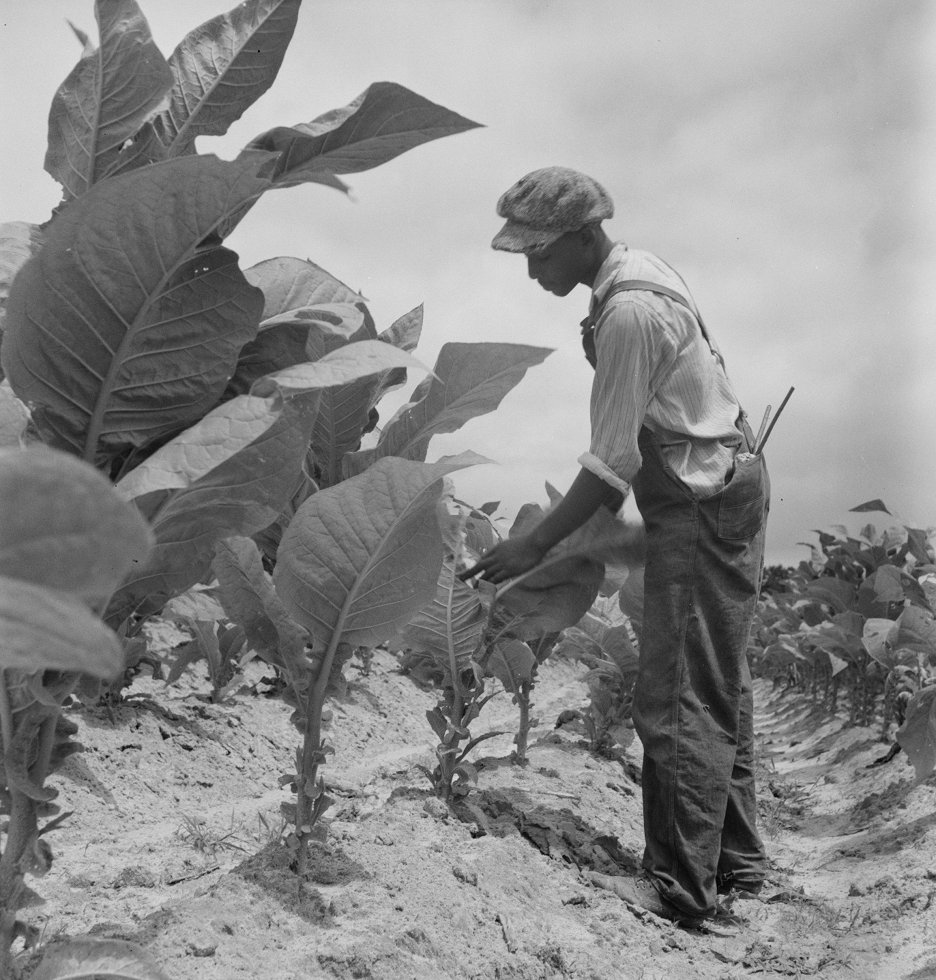 Fenomén jeans (2022) | ČSFD.cz