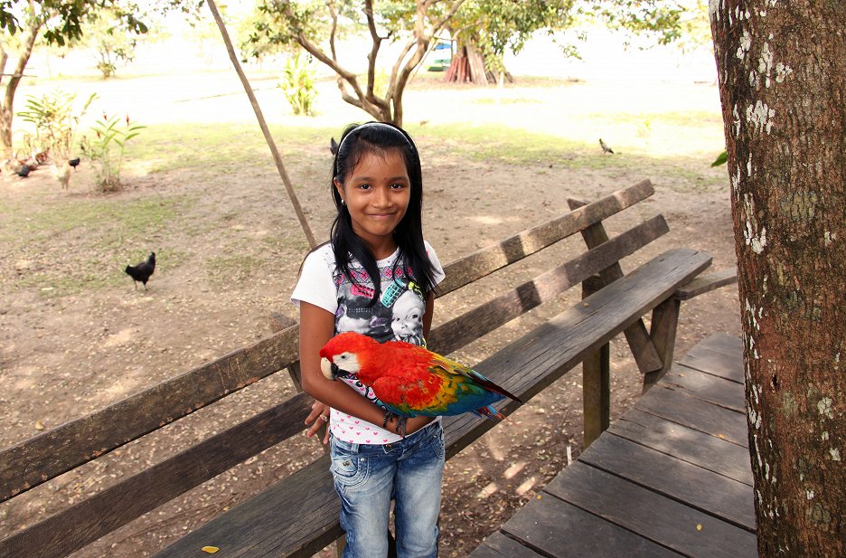 Jessica, das Mädchen vom Amazonas (2022) | ČSFD.cz