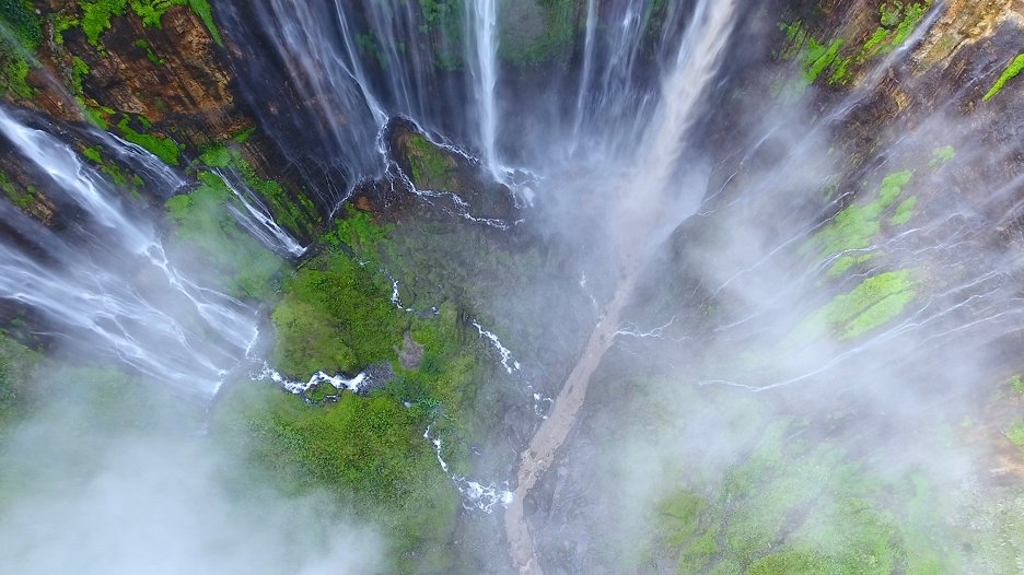 Wunder der Erde - Tiere (S02E06) (2022) | ČSFD.cz
