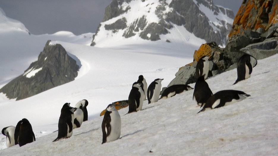 Wunder der Erde - Eis (S02E03) (2022) | ČSFD.cz